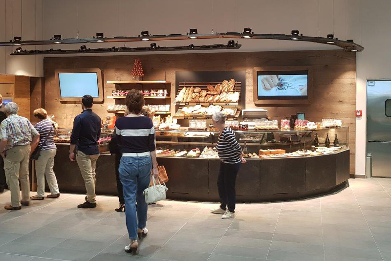 Zebrix case study Cactus